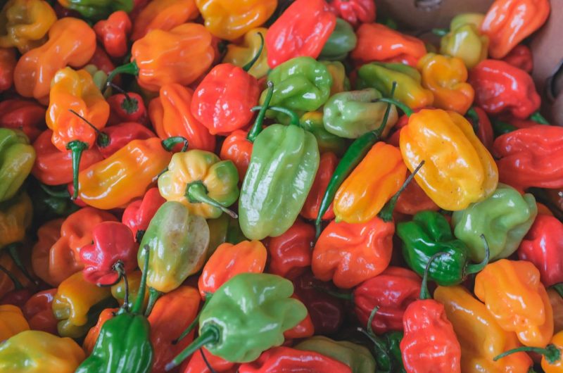 Sofrito a la Cocina Criolla – Familia Kitchen