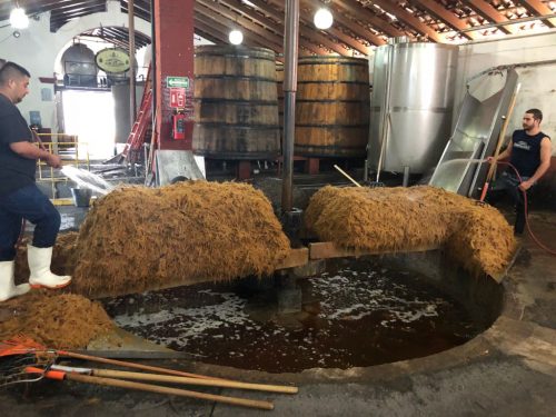 How Tequila Is Made: From Agave Field to Your Glass – Familia Kitchen
