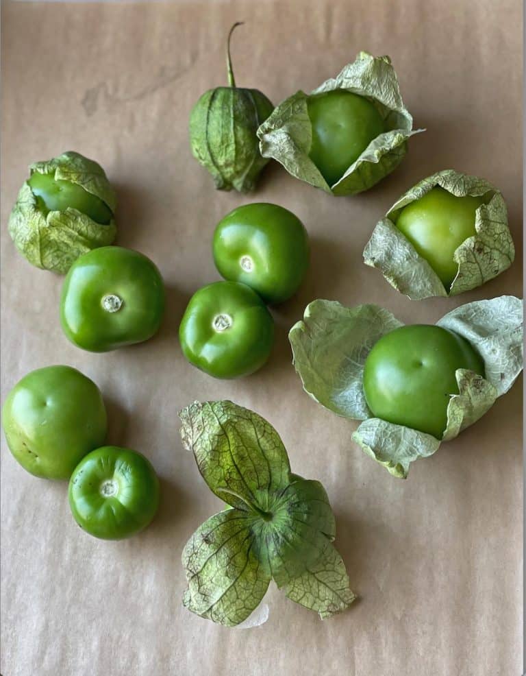 All About the Tomatillo – Familia Kitchen