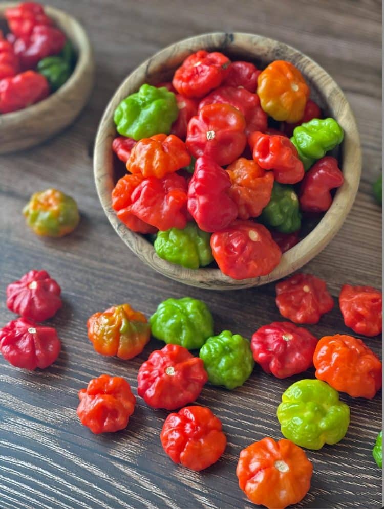 The 21 Spices & Ingredients Essential to Latino Cooking – Familia Kitchen