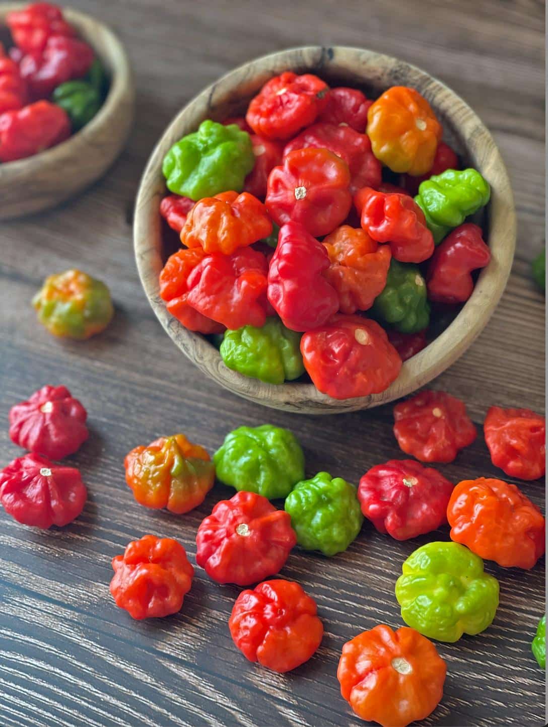 The 21 Spices & Ingredients Essential to Latino Cooking – Familia Kitchen